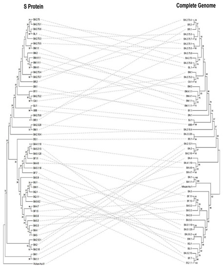Deep Structural Analysis of Myriads of Omicron Sub-Variants Revealed ...