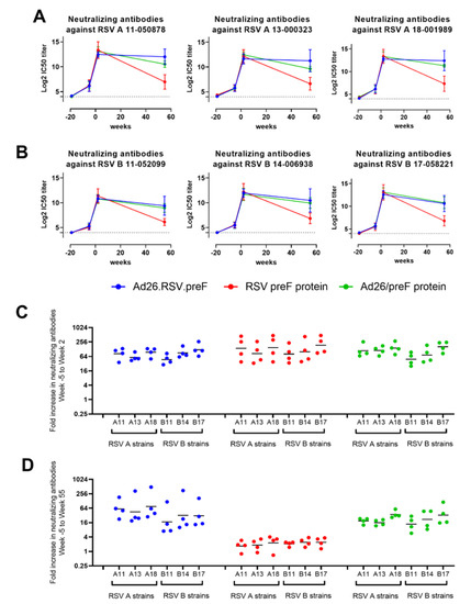RSV A2-Based Prefusion F Vaccine Candidates Induce RSV A and RSV B ...