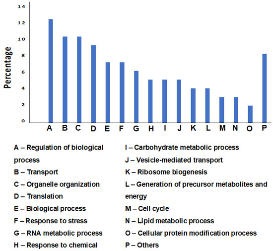 Candida parapsilosis Cell Wall Proteome Characterization and ...