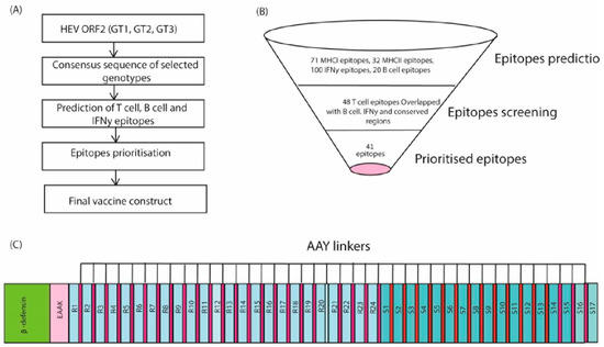 An In Silico Deep Learning Approach to Multi-Epitope Vaccine Design: A Hepatitis E Virus Case Study