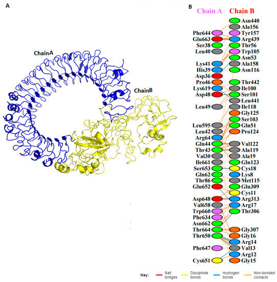 An In Silico Deep Learning Approach to Multi-Epitope Vaccine Design: A ...