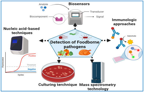An Overview of the Public Health Challenges in Diagnosing and Controlling Human Foodborne Pathogens