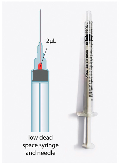 Effectiveness of the Air-Filled Technique to Reduce the Dead Space in Syringes and Needles ...