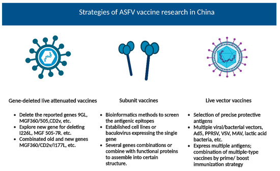 Summary of the Current Status of African Swine Fever Vaccine ...