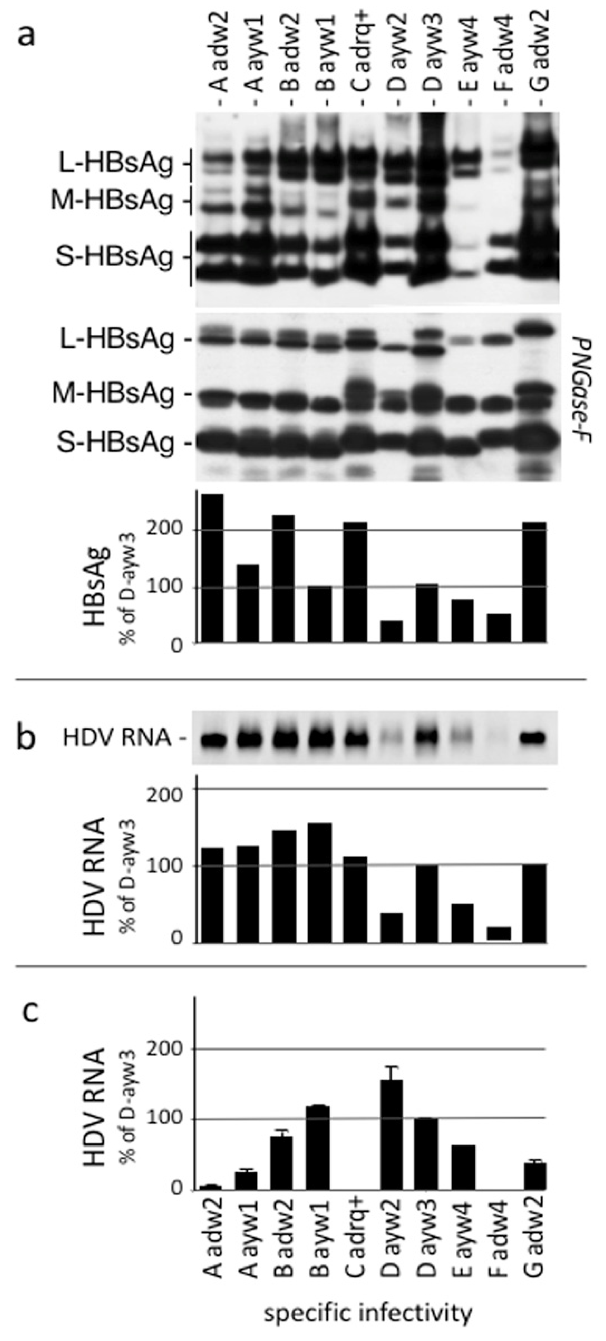 Are International Units of Anti-HBs Antibodies Always Indicative of ...