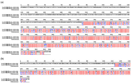 Involvement of the MGF 110-11L Gene in the African Swine Fever ...