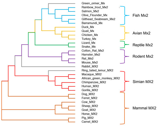 You Shall Not Pass: MX2 Proteins Are Versatile Viral Inhibitors