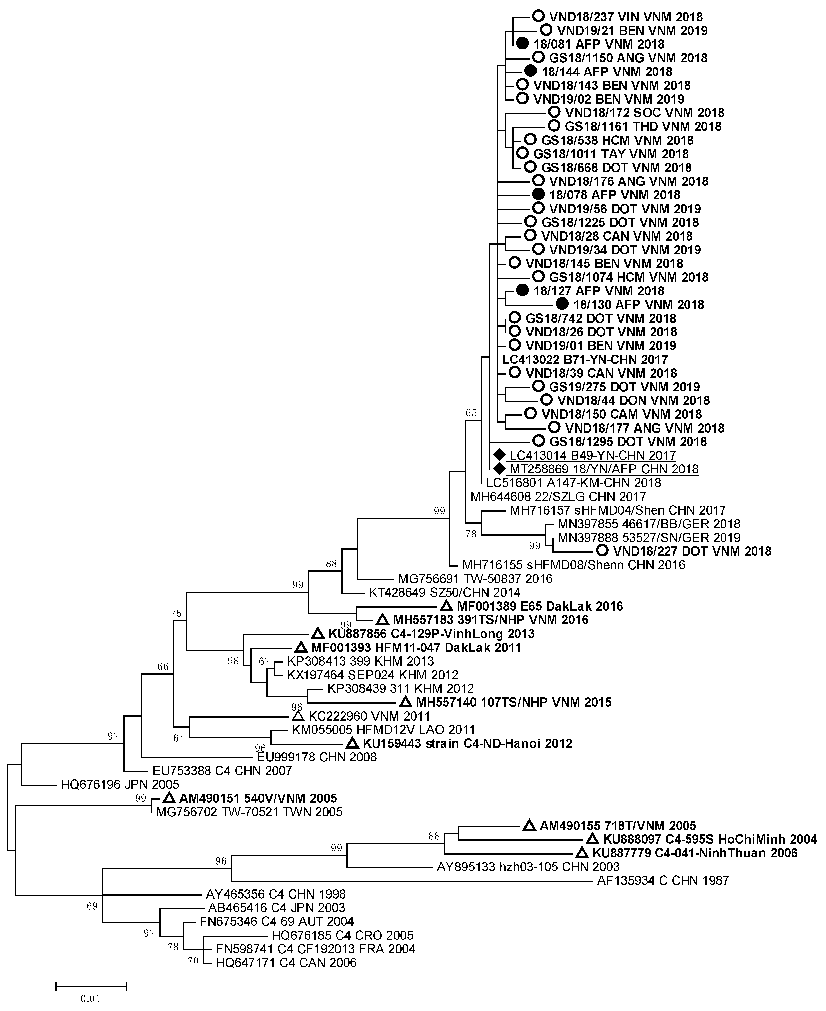 Enterovirus 71-Associated Infection in South Vietnam: Vaccination Is a ...