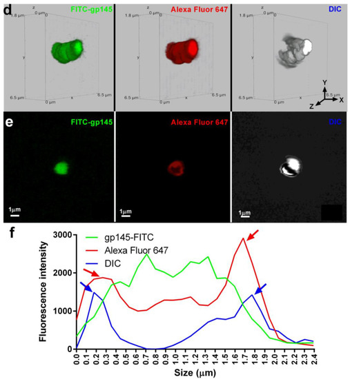 Optimizing the Production of gp145, an HIV-1 Envelope Glycoprotein ...