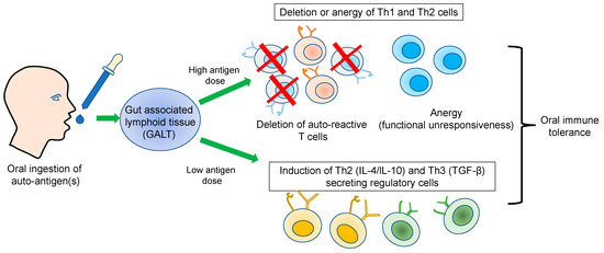 Vaccines | Free Full-Text | A Perspective on Oral Immunotherapeutic ...