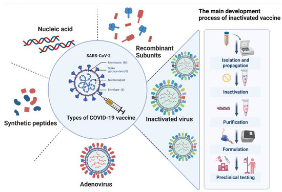 Vaccines | Free Full-Text | A Review of Inactivated COVID-19 Vaccine Development in China ...