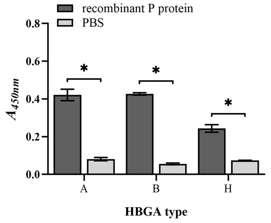 Immunogenicity and Blocking Efficacy of Norovirus GII.4 Recombinant P Protein Vaccine