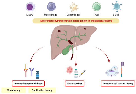 Cholangiocarcinoma in the Era of Immunotherapy