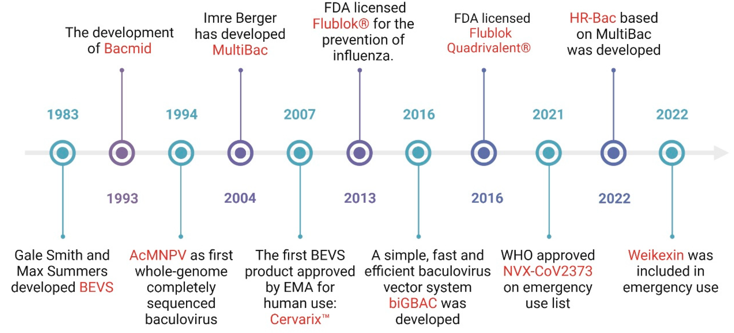 Application of Baculovirus Expression Vector System (BEVS) in Vaccine ...