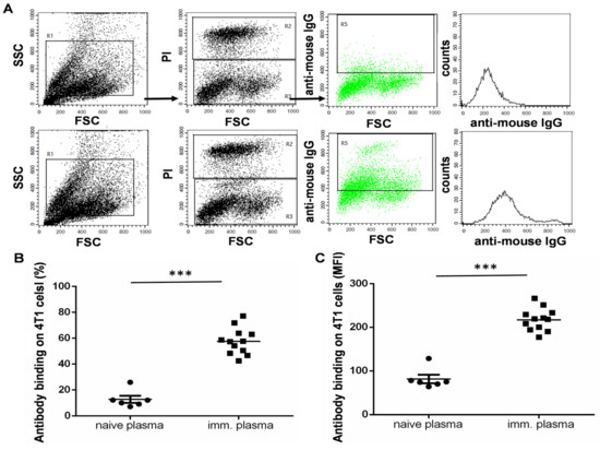 Introduction of an Ultraviolet C-Irradiated 4T1 Murine Breast Cancer ...