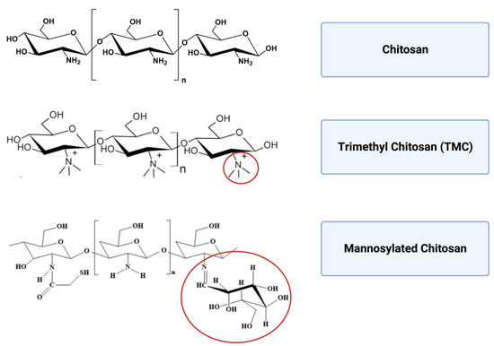 Efficiency of Chitosan Nanocarriers in Vaccinology for Mucosal Immunization