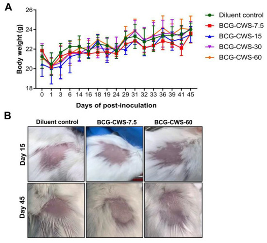 The Adjuvant Activity of BCG Cell Wall Cytoskeleton on a Dengue Virus-2 ...