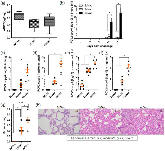 Selection and Evaluation of Porcine circovirus (PCV) 2d Vaccine Strains ...