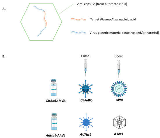 Malaria Vaccines: From the Past towards the mRNA Vaccine Era