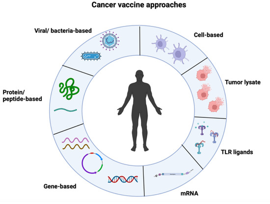Vaccines | Free Full-Text | Sending a Message: Use of mRNA Vaccines to ...