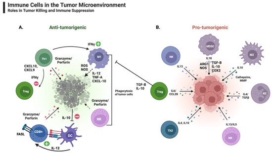 Sending a Message: Use of mRNA Vaccines to Target the Tumor Immune ...