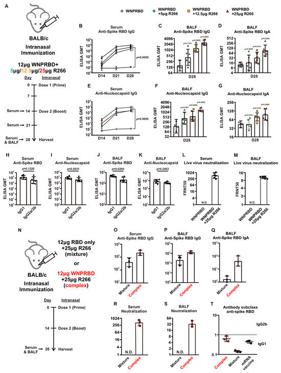 An RNA-Scaffold Protein Subunit Vaccine for Nasal Immunization