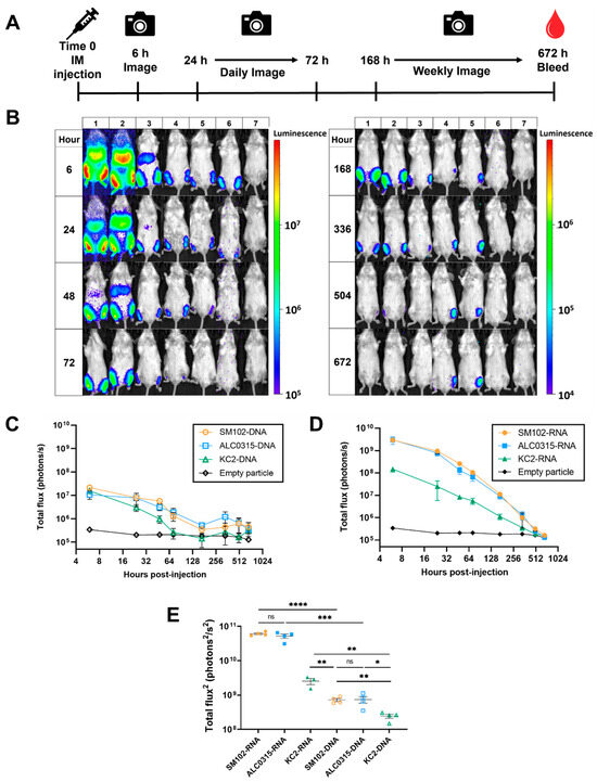 The Expression Kinetics and Immunogenicity of Lipid Nanoparticles ...