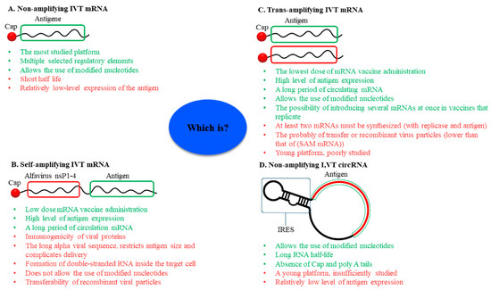 In Vitro Transcribed RNA-Based Platform Vaccines: Past, Present, and Future