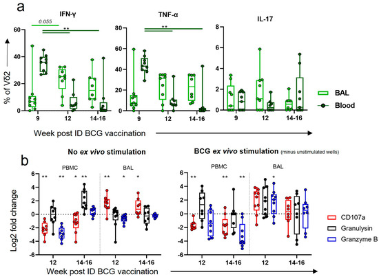 IV BCG Vaccination and Aerosol BCG Revaccination Induce Mycobacteria-Responsive γδ T Cells ...