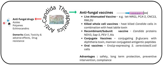 Advancing Vaccine Strategies against Candida Infections: Exploring New Frontiers