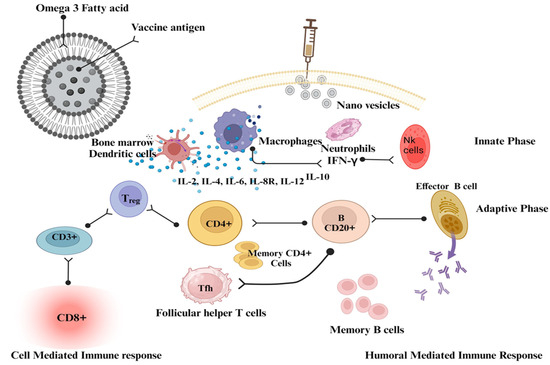 Vaccines | Free Full-Text | Advancements in Vaccine Adjuvants: The Journey from Alum to Nano ...