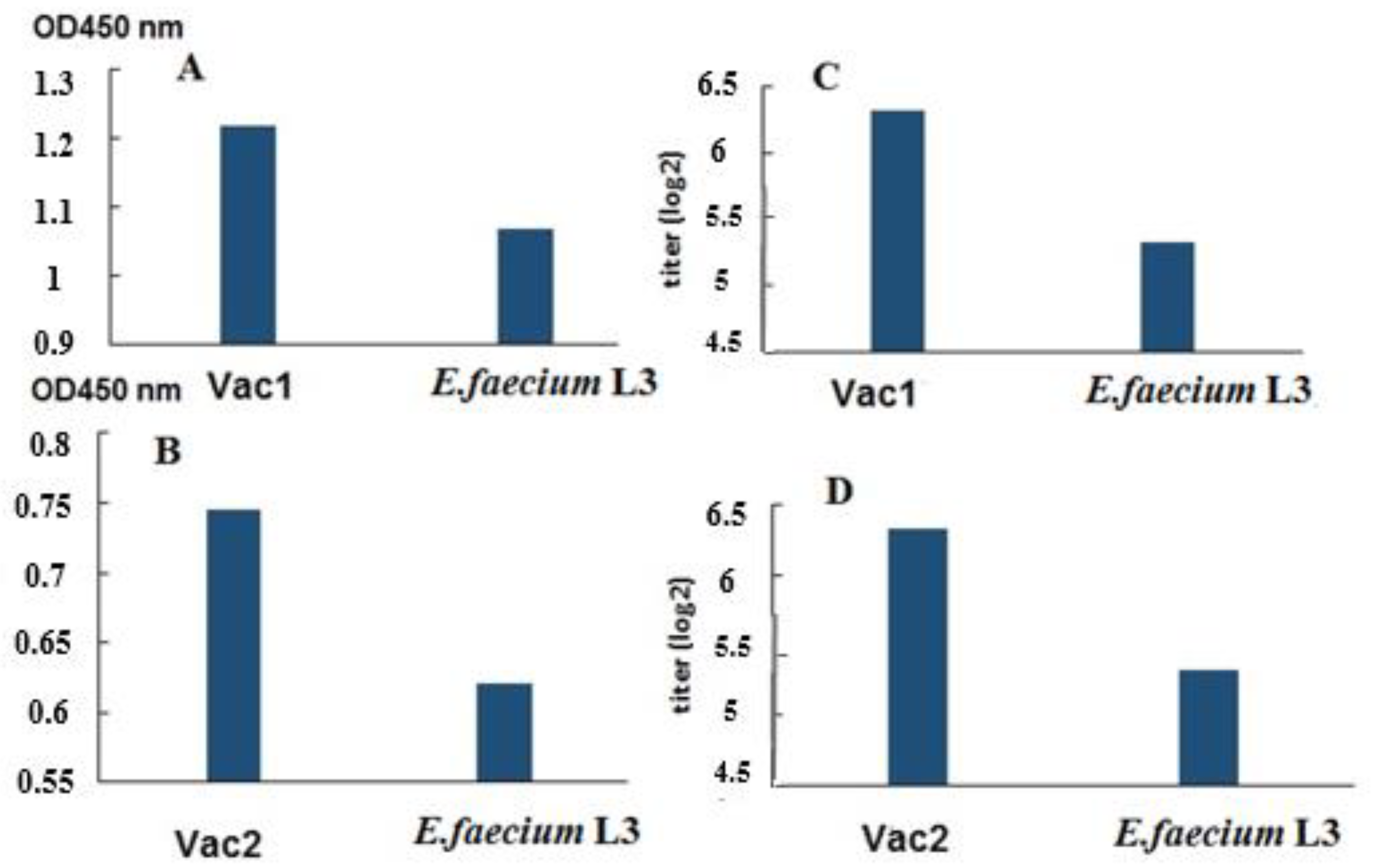 SARS-CoV-2 Spike Protein-Expressing Enterococcus for Oral Vaccination ...
