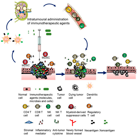 Immunotherapeutic Agents for Intratumoral Immunotherapy
