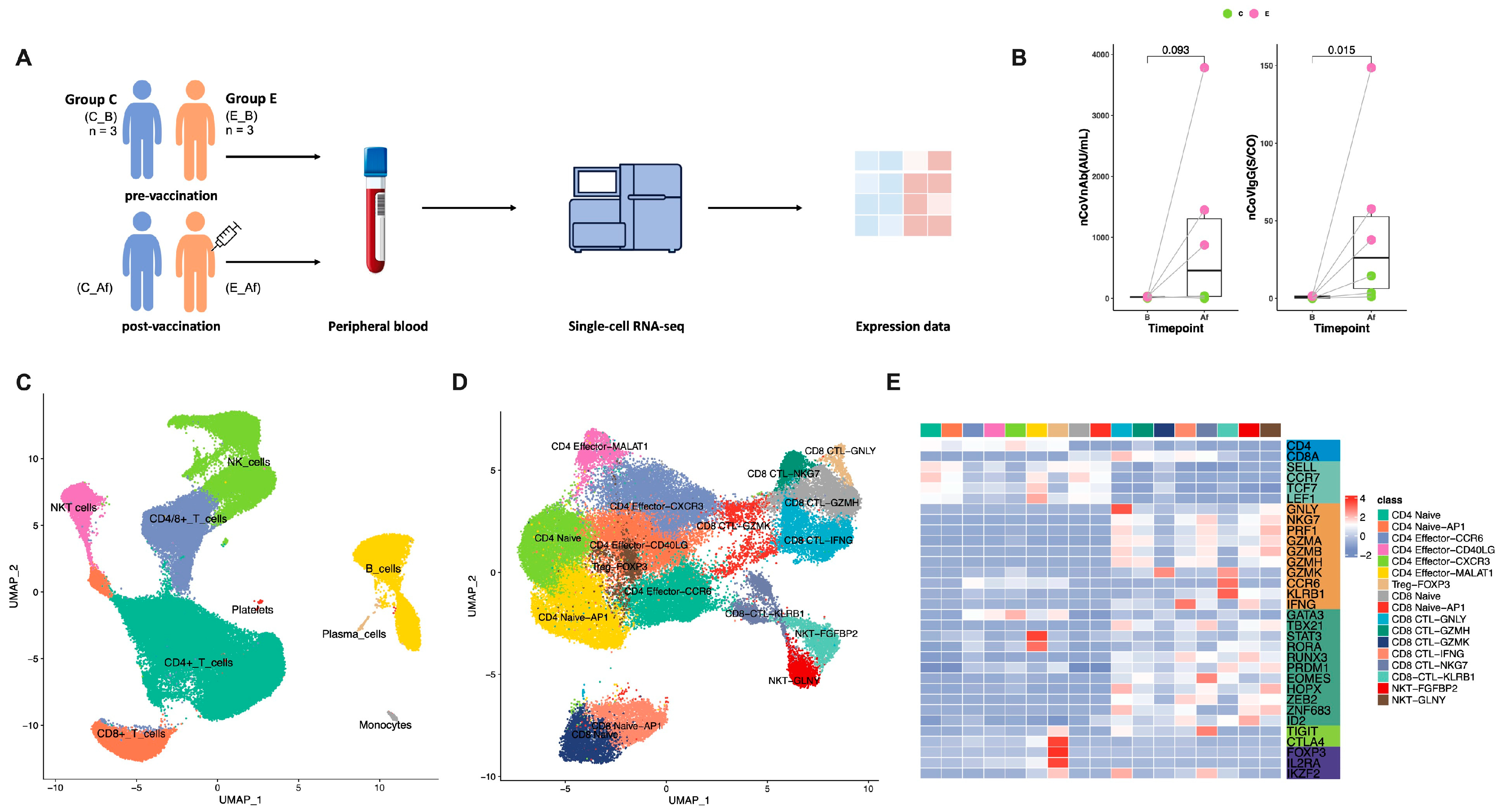 The Promotion of Humoral Immune Responses in Humans via SOCS1-Mediated ...