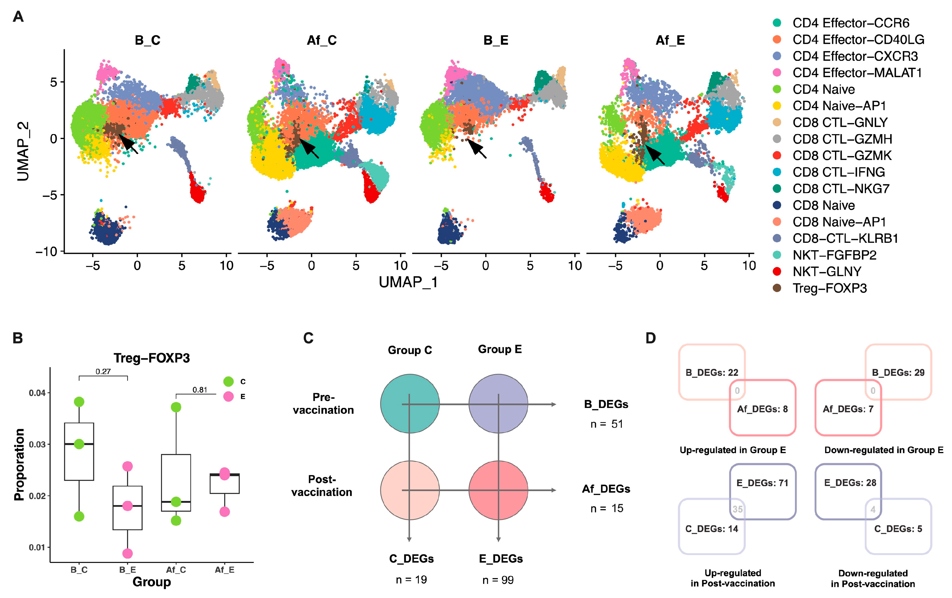 The Promotion of Humoral Immune Responses in Humans via SOCS1-Mediated ...
