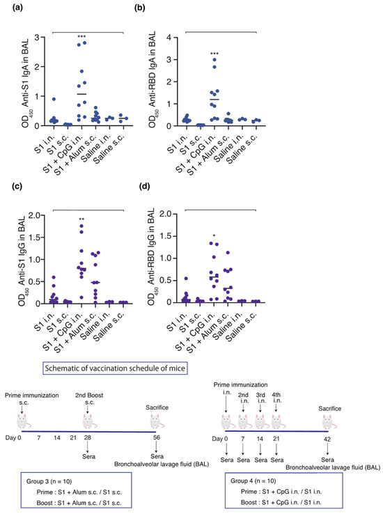 Antibody Response Following the Intranasal Administration of SARS-CoV-2 ...