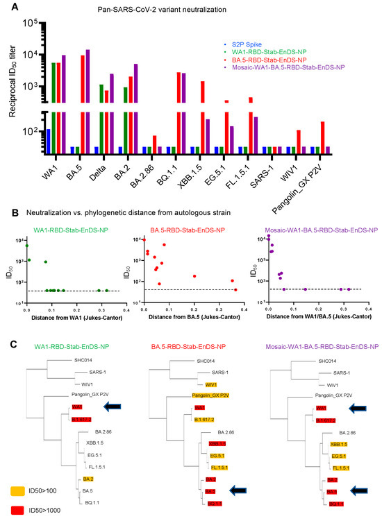 Extraordinary Titer and Broad Anti-SARS-CoV-2 Neutralization Induced by ...