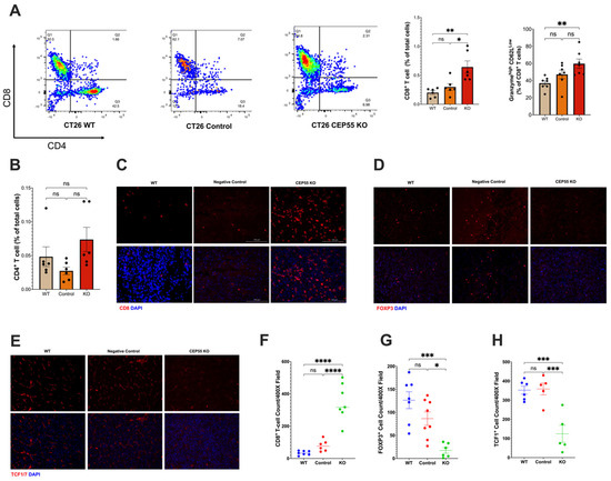 Centrosomal Protein 55 (CEP55) Drives Immune Exclusion and Resistance ...