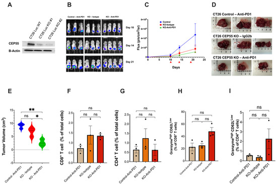 Centrosomal Protein 55 (CEP55) Drives Immune Exclusion and Resistance ...