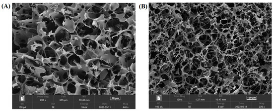 Screening and Stability Evaluation of Freeze-Dried Protective Agents ...