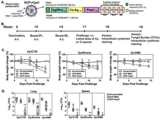 A Recombinant Multivalent Vaccine (rCpa1) Induces Protection for C57BL ...