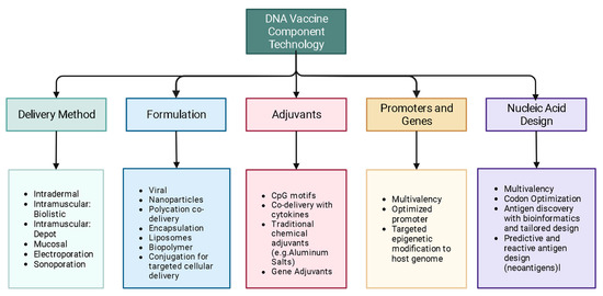 DNA Vaccines: Their Formulations, Engineering and Delivery