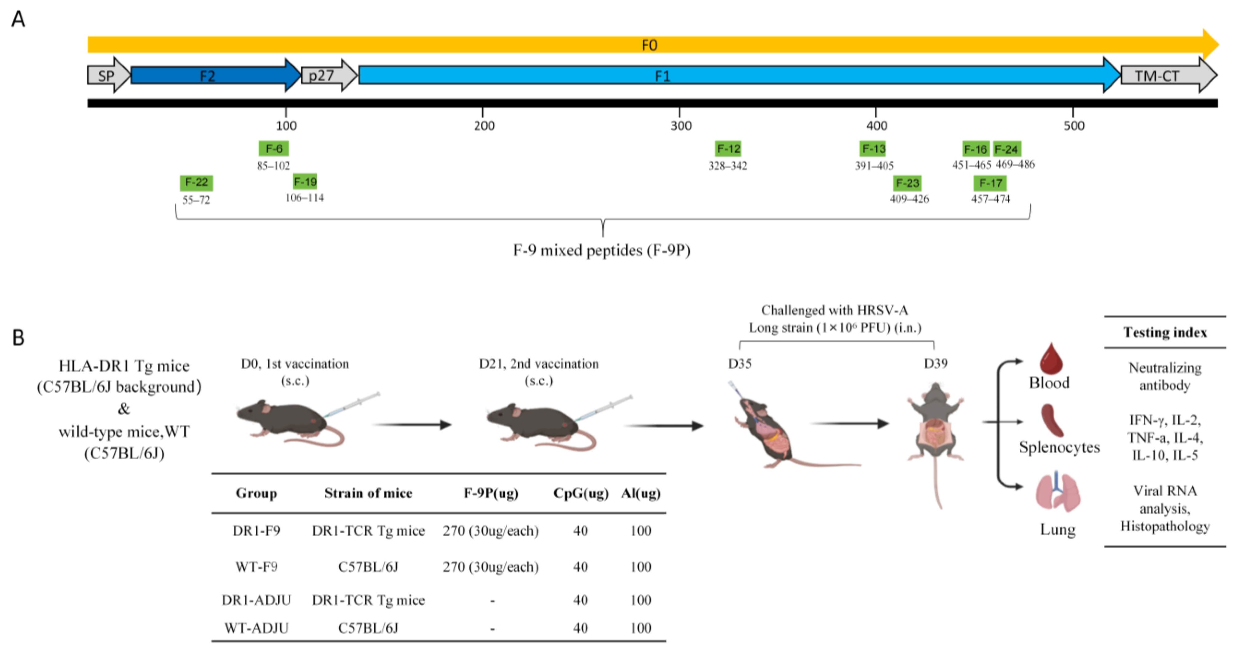 A Mixture of T-Cell Epitope Peptides Derived from Human Respiratory ...