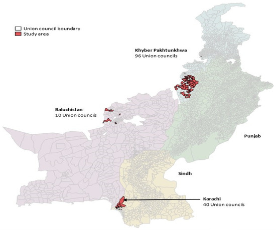 Vaccines | Free Full-Text | A Holistic Strategy of Mother and Child ...