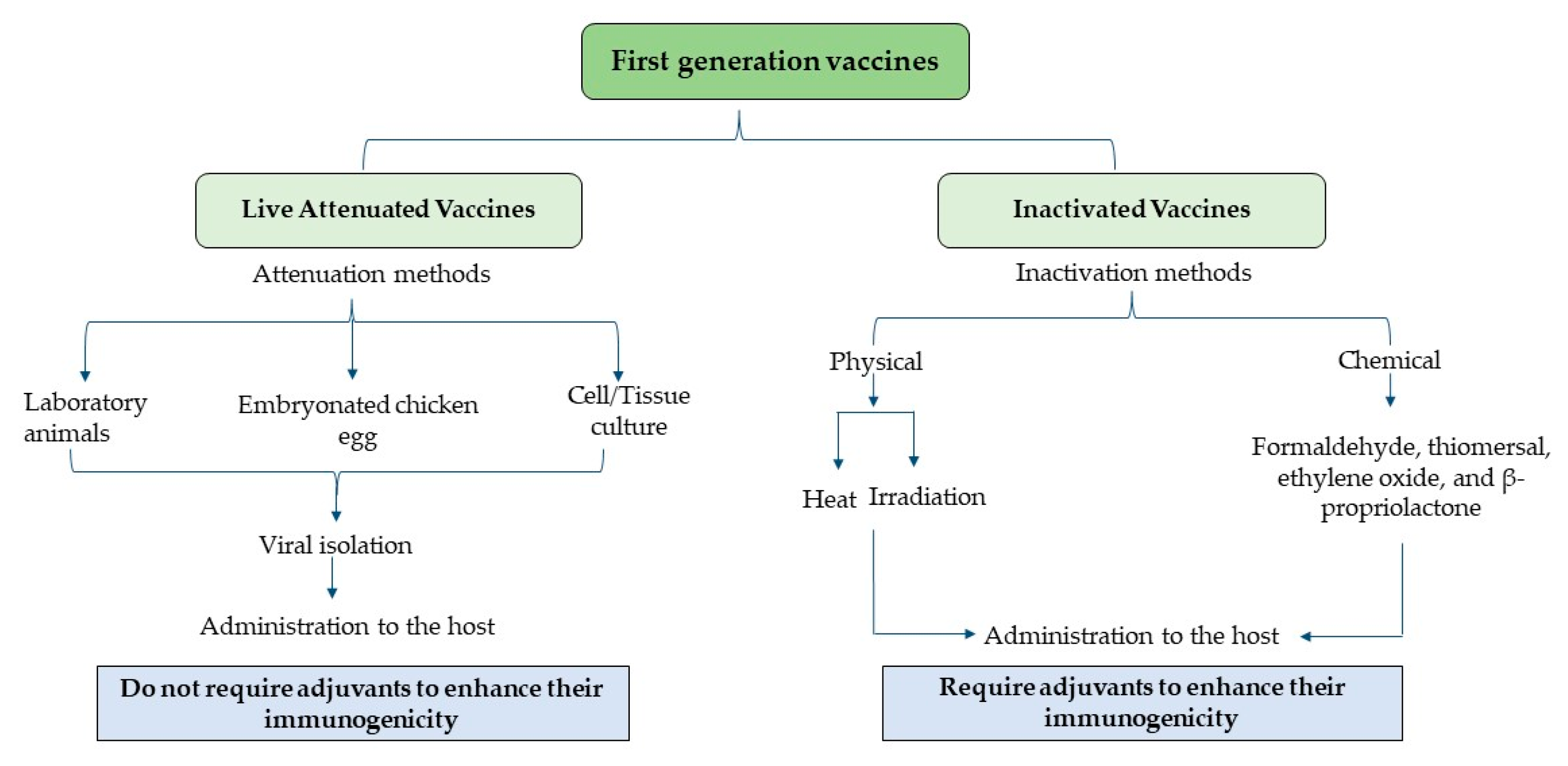 Vaccines | Free Full-Text | Advances in Poultry Vaccines: Leveraging Biotechnology for Improving ...