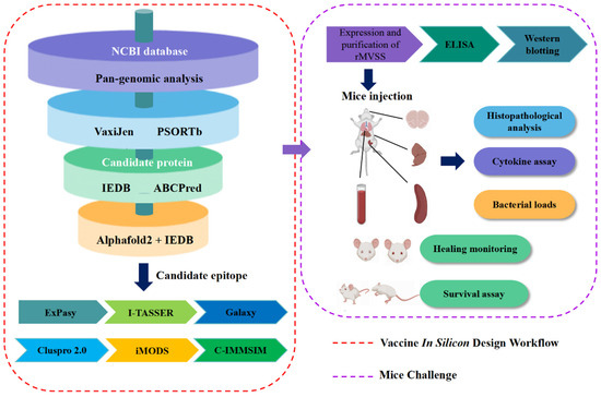 Combined Immunoinformatics to Design and Evaluate a Multi-Epitope ...