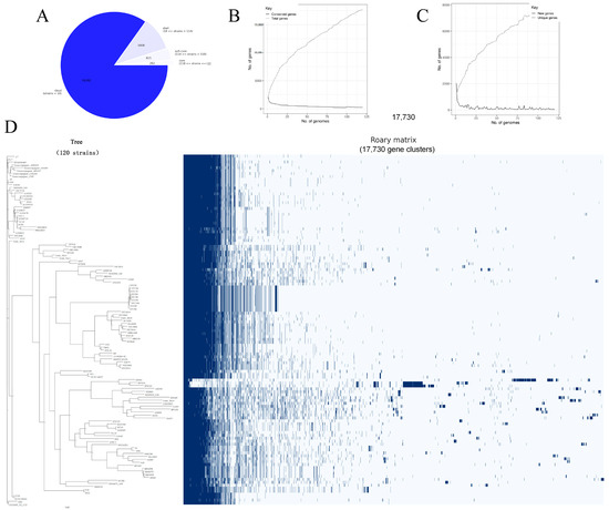 Combined Immunoinformatics to Design and Evaluate a Multi-Epitope ...