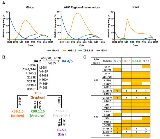 Immune Evasion of SARS-CoV-2 Omicron Subvariants XBB.1.5, XBB.1.16 and EG.5.1 in a Cohort of ...