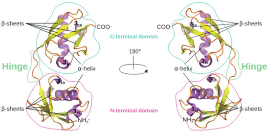 Unveiling the Multifaceted Roles of ISG15: From Immunomodulation to ...