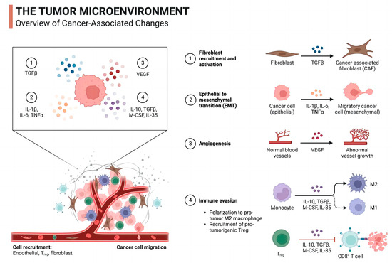 Vaccines | Free Full-Text | Lipid Nanoparticle (LNP) Delivery Carrier-Assisted Targeted ...